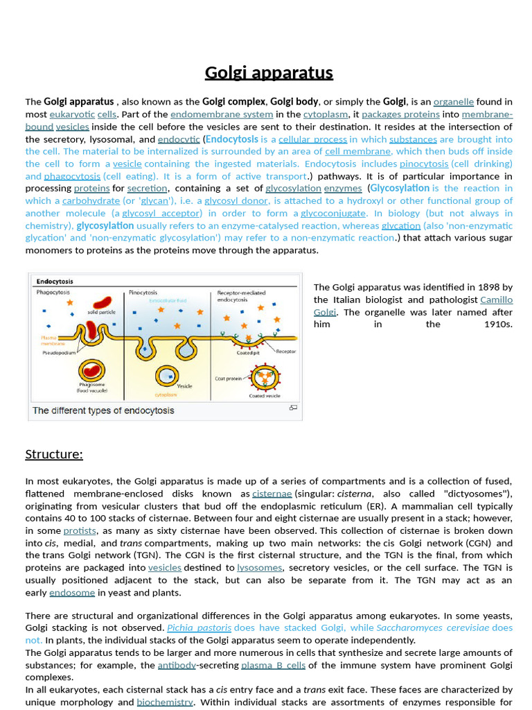 Golgi apparatus | PDF | Cell Anatomy | Biophysics