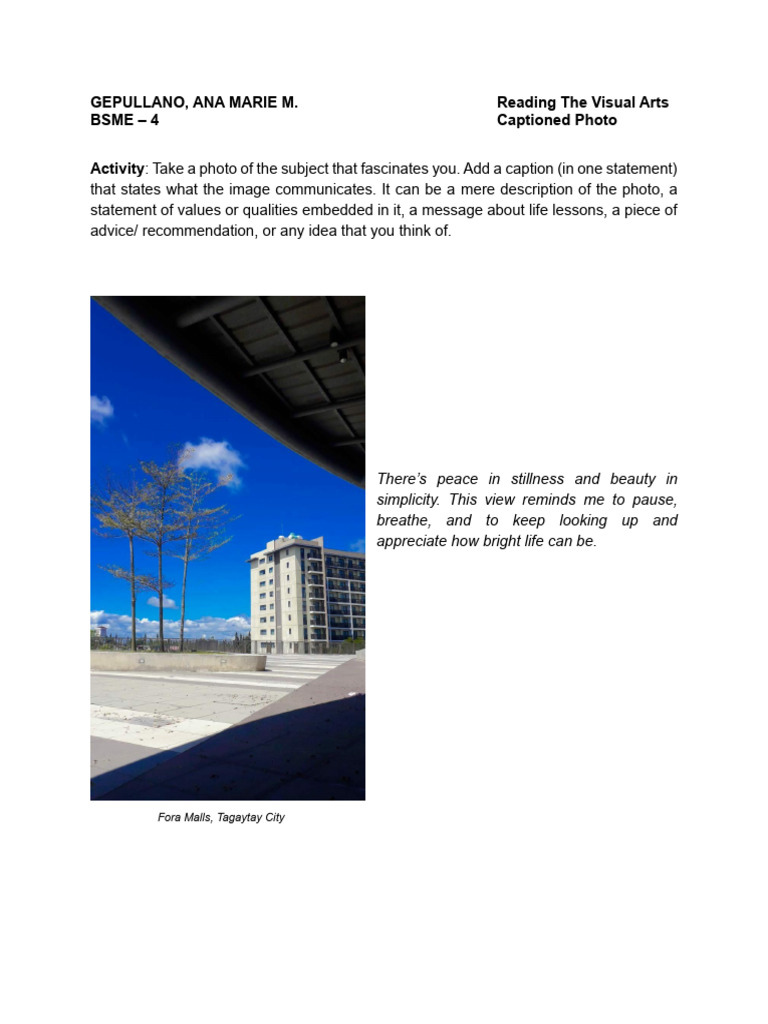 Captioned Photo | PDF