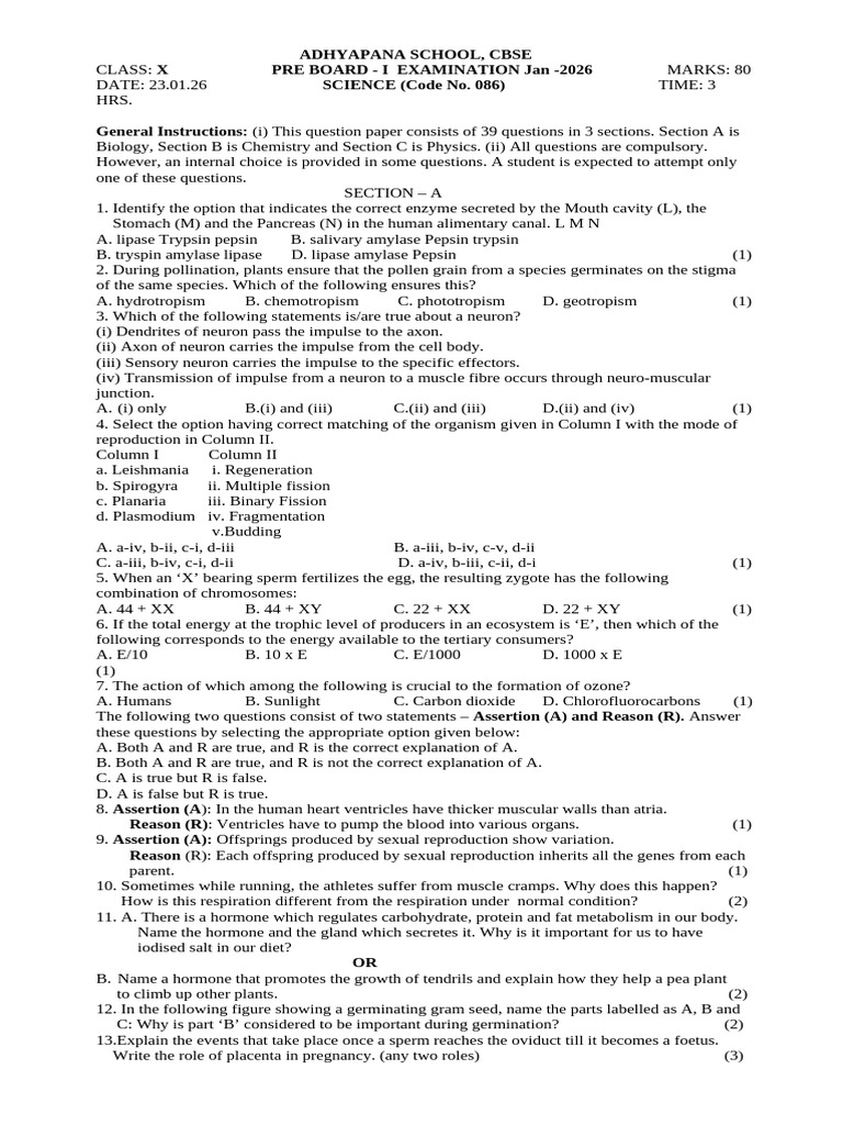 Class 10 Science Pre-Board Exam Paper | PDF | Aluminium | Acid