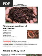 Earthworm Anatomy: Gizzard, Intestine, Pharynx | PDF | Epithelium | Biology