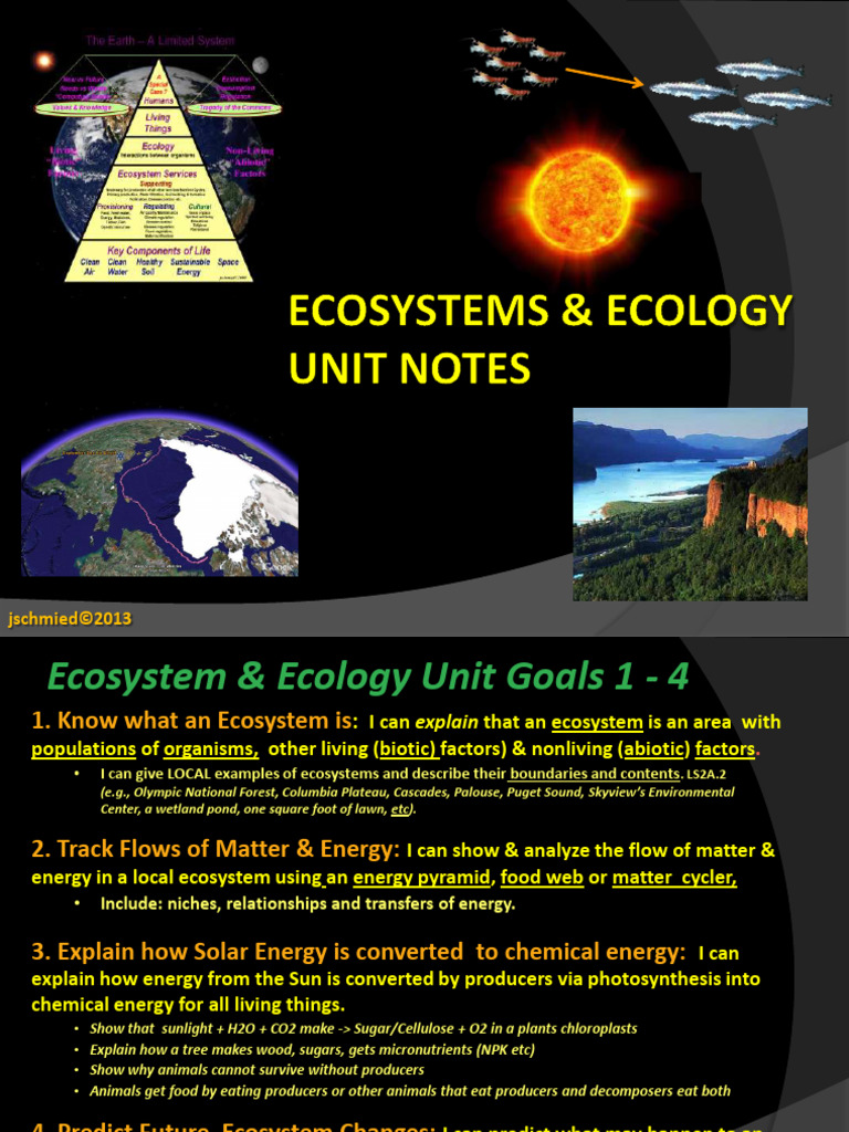 ecology and ecosystems notes | PDF | Ecosystem | Ecology