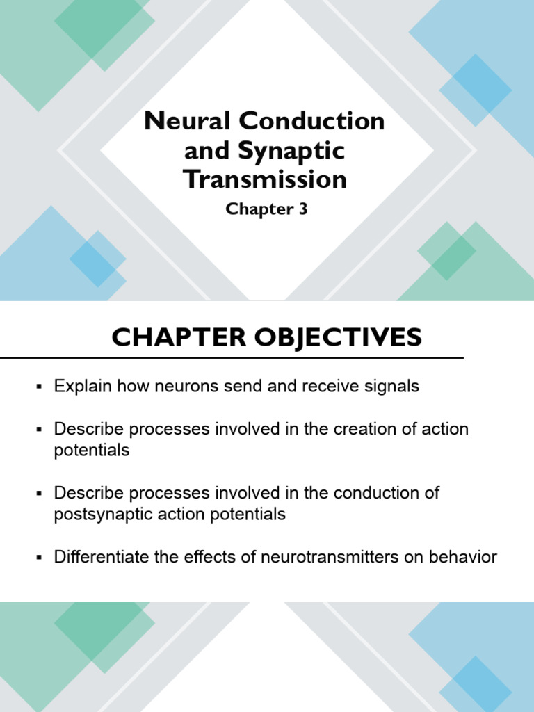 Chapter 3 - Neural Conduction and Synaptic Transmission.pptx (1) | PDF ...