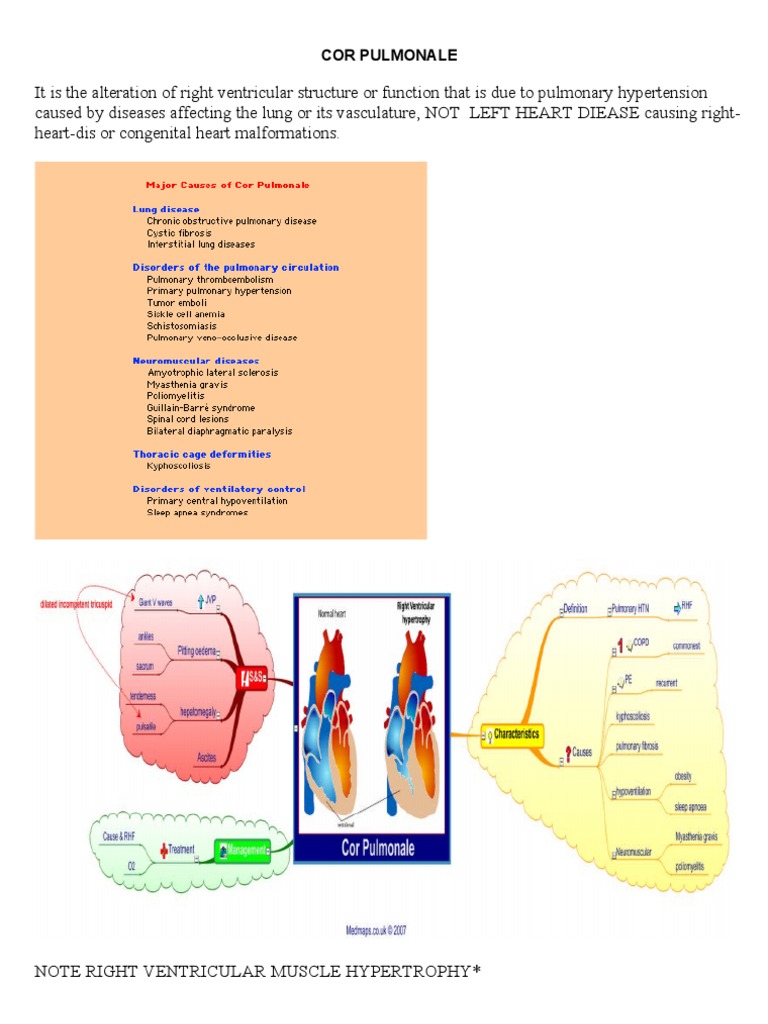Cor Pulmonale - a student to student guide | Heart Failure | Heart