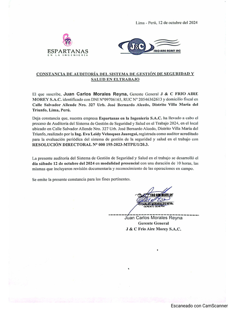 Constancias auditorías Mintra SGSST al 29.12.25 | PDF