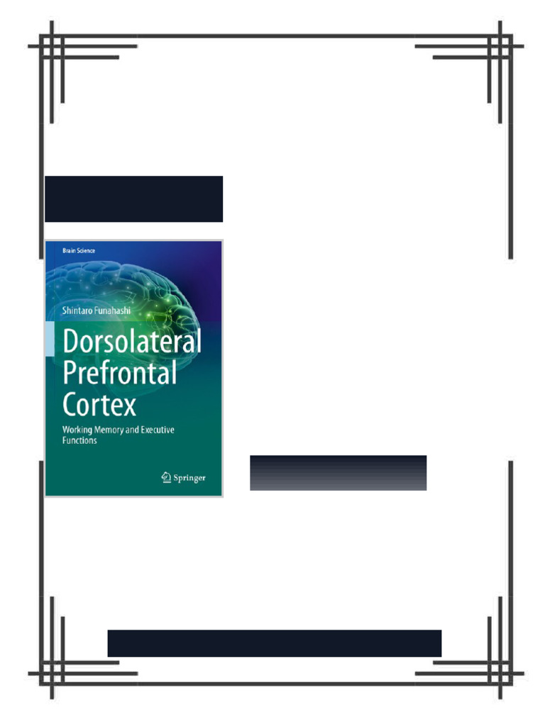 Dorsolateral Prefrontal Cortex Working Memory and Executive Functions ...