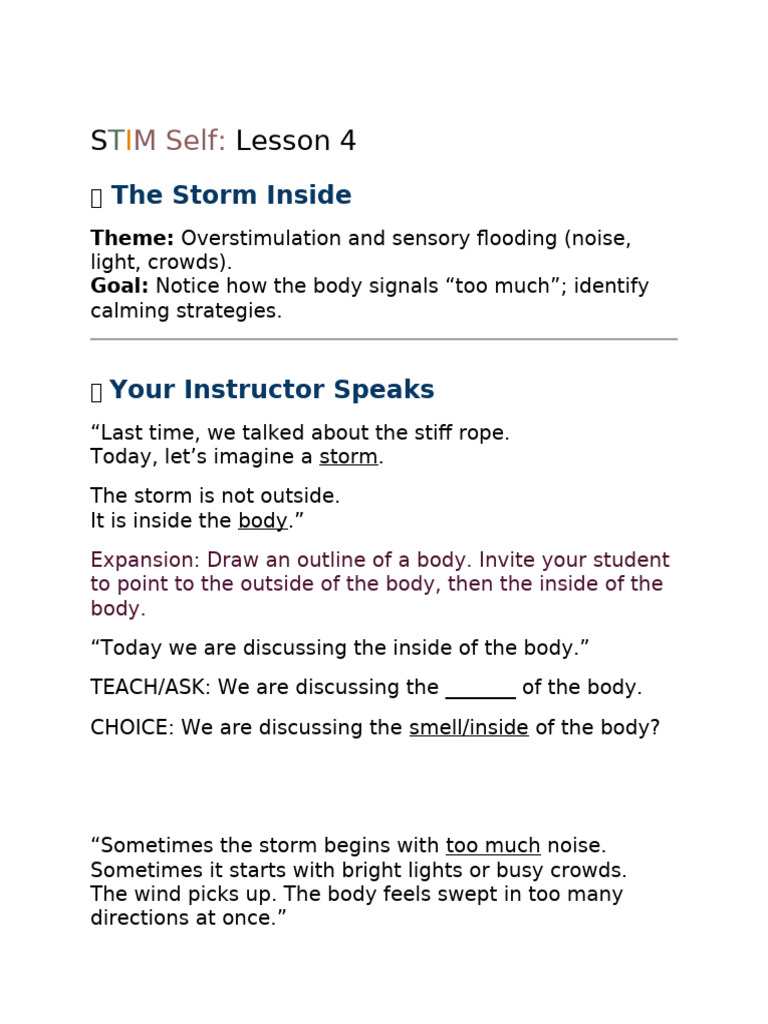 Micro Lesson 4 - The Storm Inside | PDF