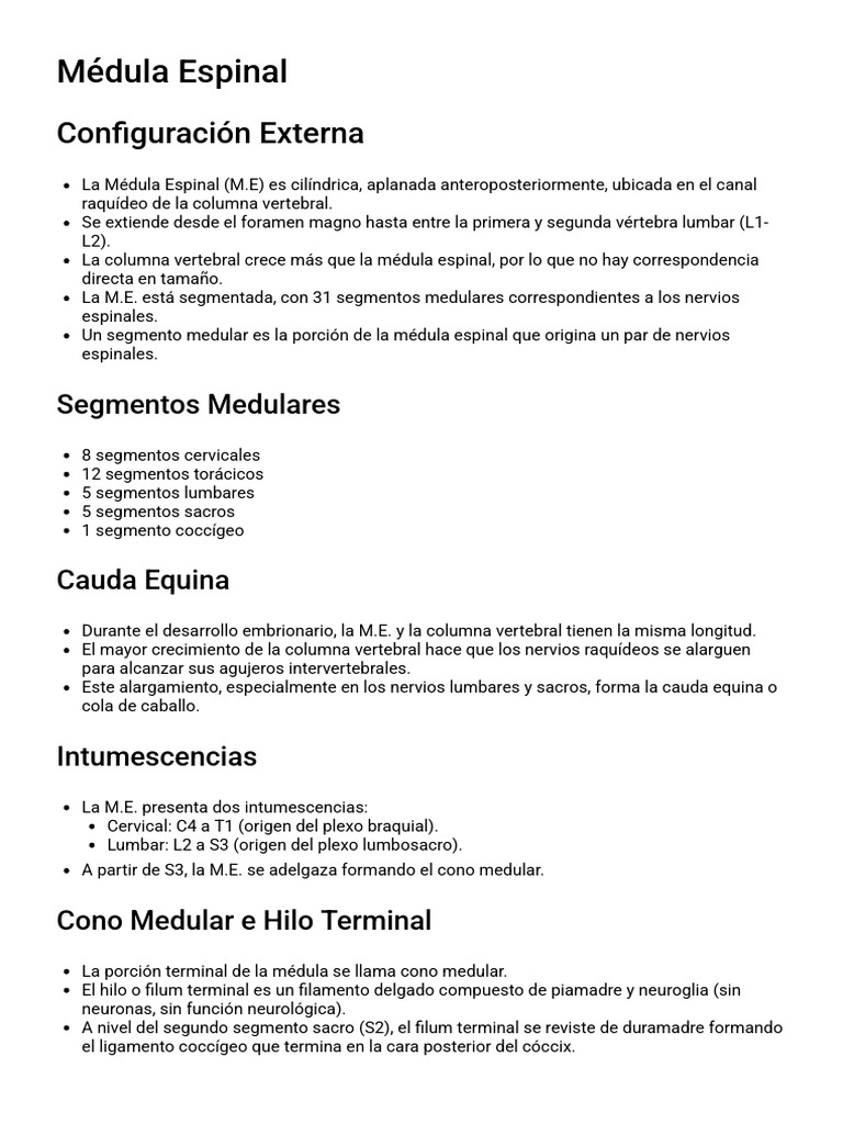 AnatomadelaMdulaEspinal-GuíaDeEstudio | PDF | Médula espinal | Anatomía ...