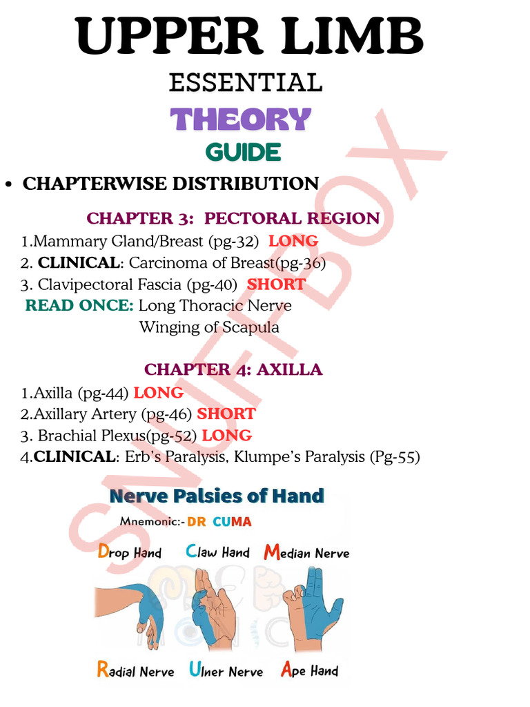 Imp Upper Limb Snuffbox | PDF