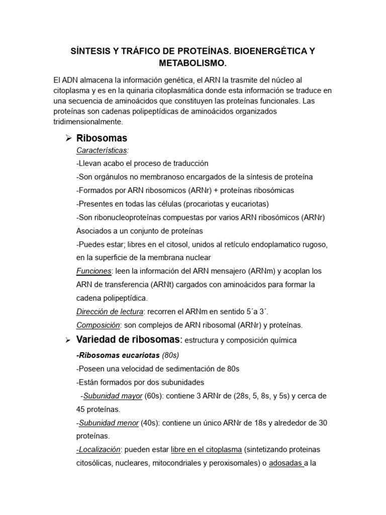 SÍNTESIS Y TRÁFICO DE PROTEÍNAS23 | PDF | Lisosoma | Retículo endoplásmico