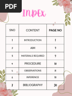 Pink and Green Illustrated Welcome September Flyer (1) | PDF