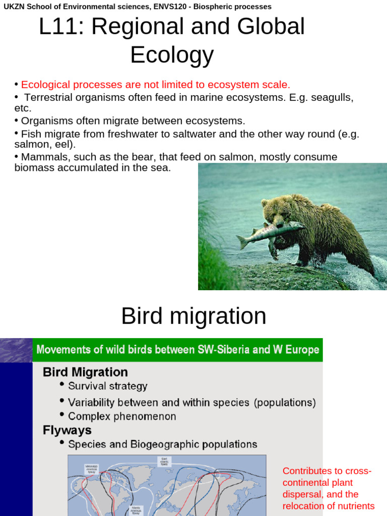 Ecosystem Interconnections and Disturbances | PDF | Ecosystem ...