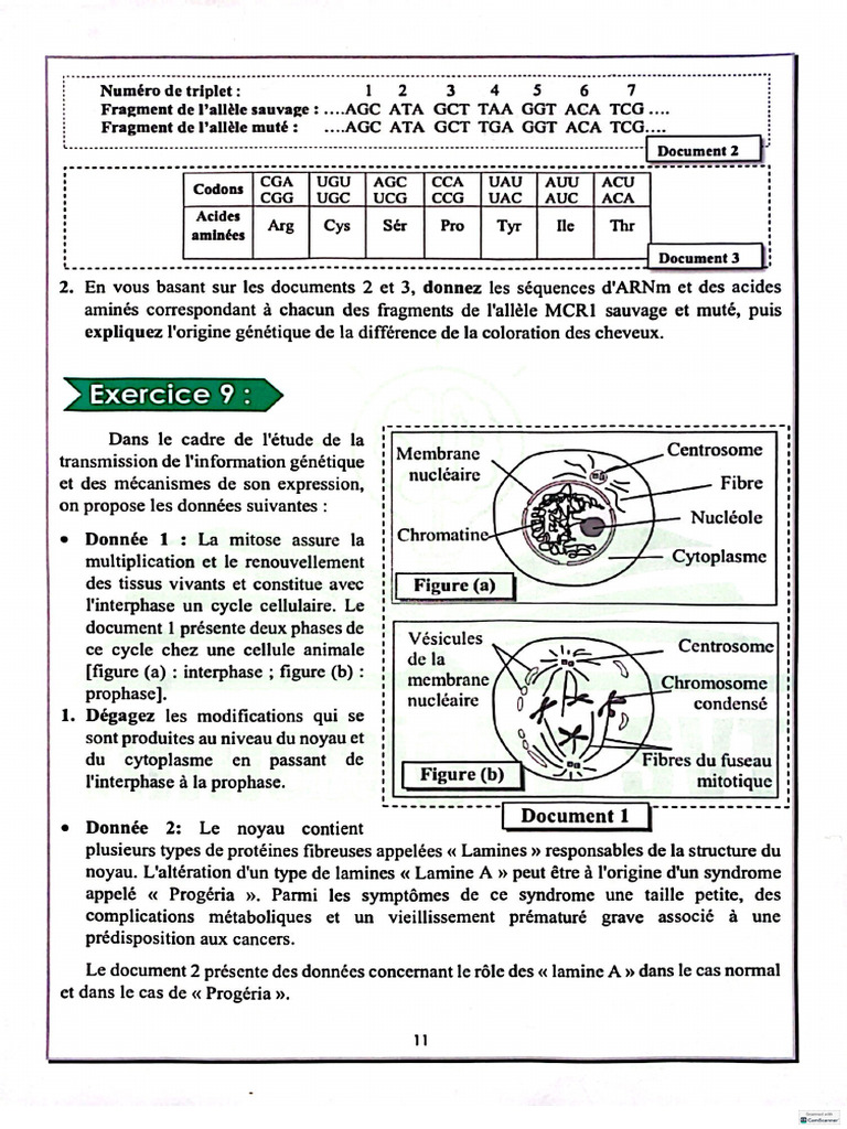 Correction exercice 9 unité 2 | PDF