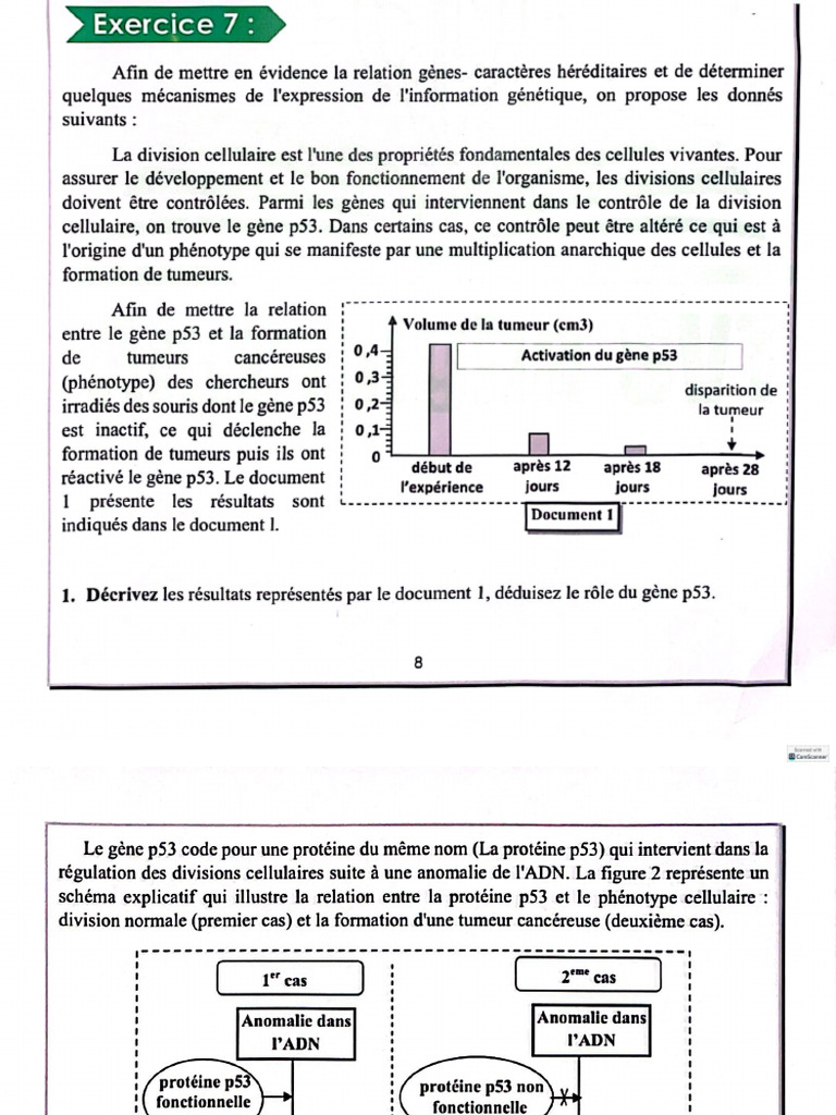 Correction exercice 7 unité 2 | PDF