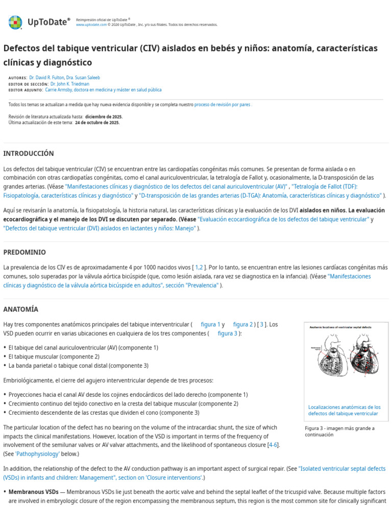 Defectos Del Tabique Ventricular (CIV) Aislados en Lactantes y Niños ...