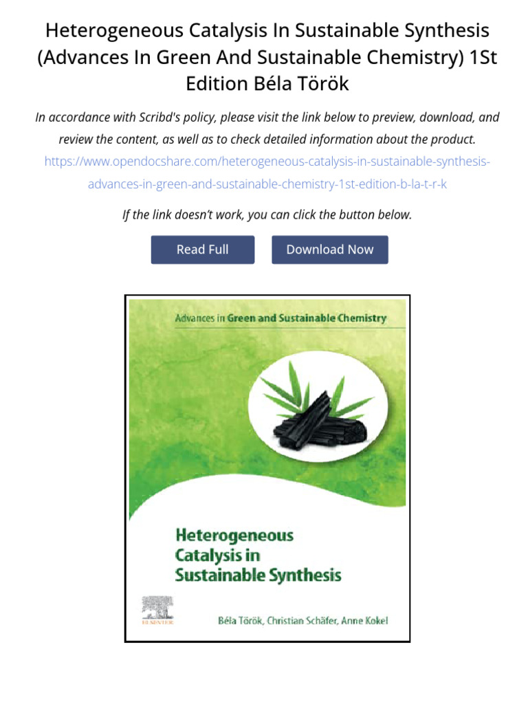 Heterogeneous Catalysis in Sustainable Synthesis (Advances in Green and ...
