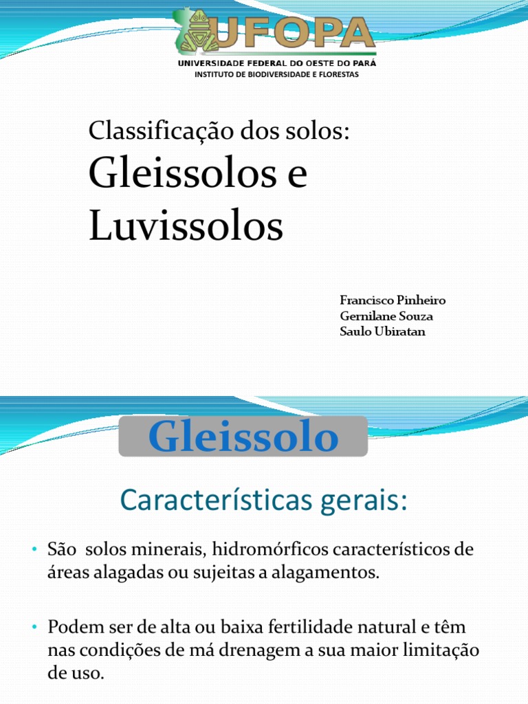 TRABALHO de SOLO - Gleissolo & Luvissolo | PDF | Terreno | Solo