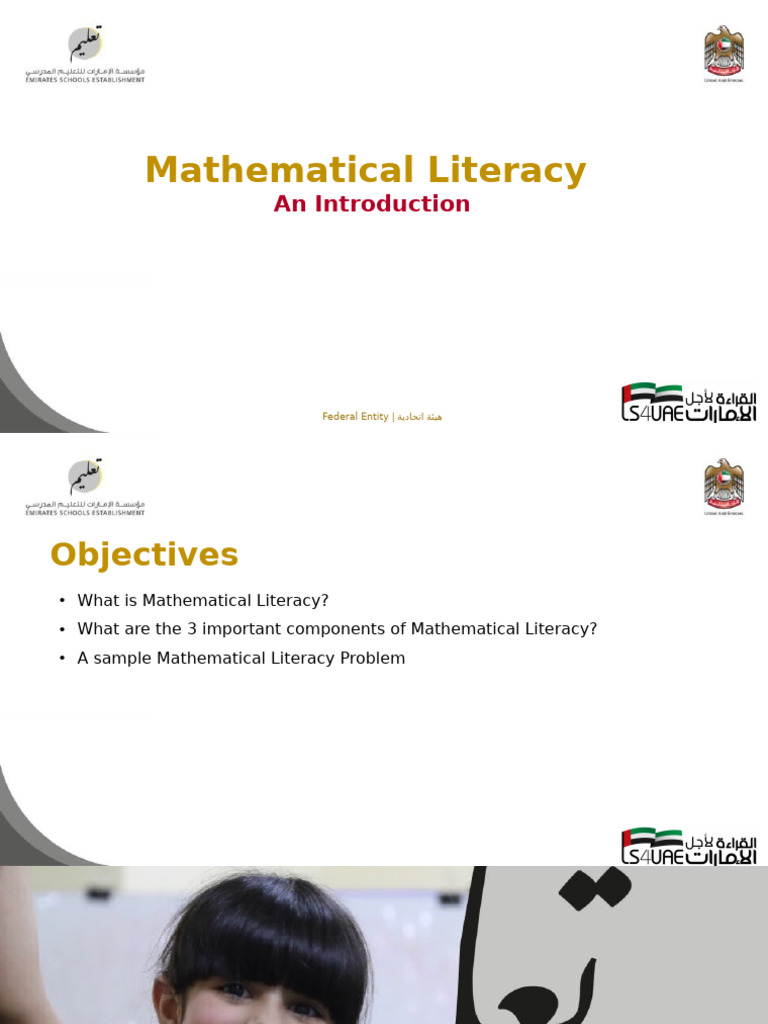 3. Mathematical Literacy Introduction | PDF | Metacognition | Mathematics