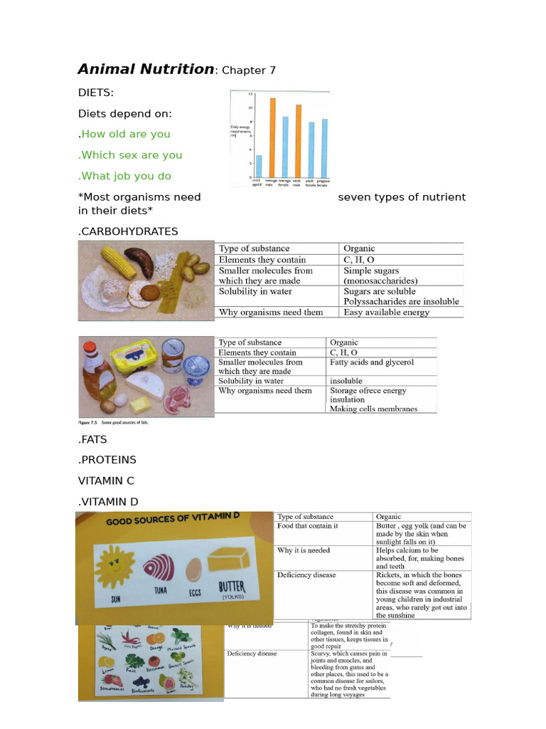 Essential Nutrients in Animal Diets | PDF