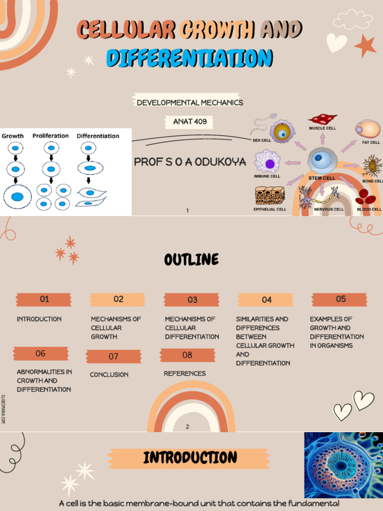 Cellular Growth and Differentiation Mechanisms | PDF | Cell Potency ...