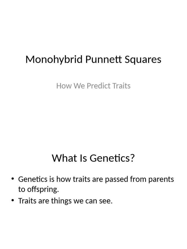 Monohybrid Punnet Squares | PDF