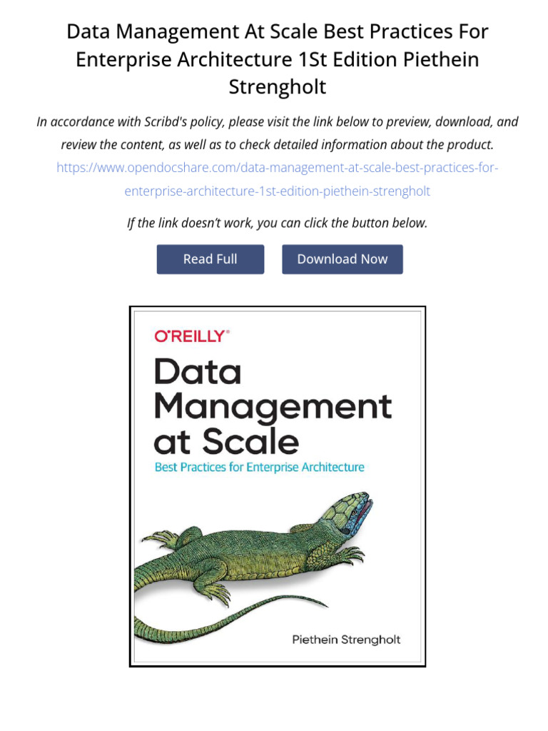 Data Management at Scale Best Practices for Enterprise Architecture 1st Edition Piethein ...