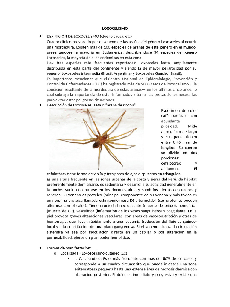 Loxoscelismo: Causas y Prevención | PDF | Medicina CLINICA ...