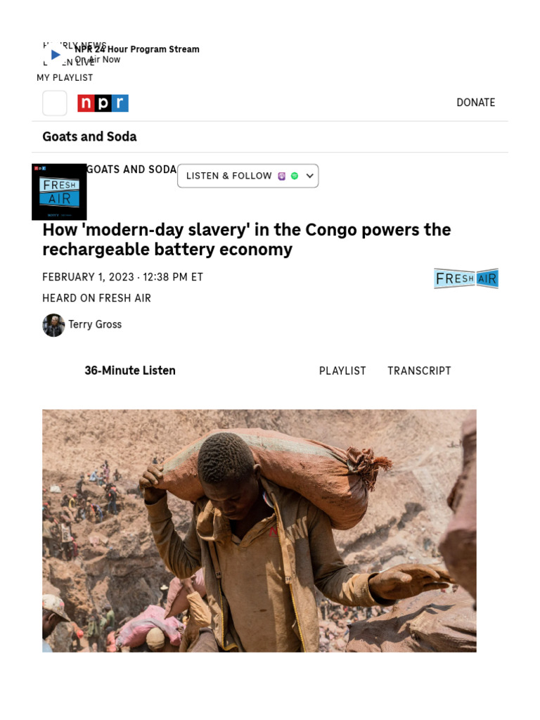 'Cobalt Red' Describes The 'Horror Show' of Mining The Element in The ...