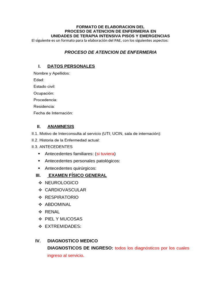 Formato de Elaboracion Del Pae | PDF | Especialidades Medicas ...