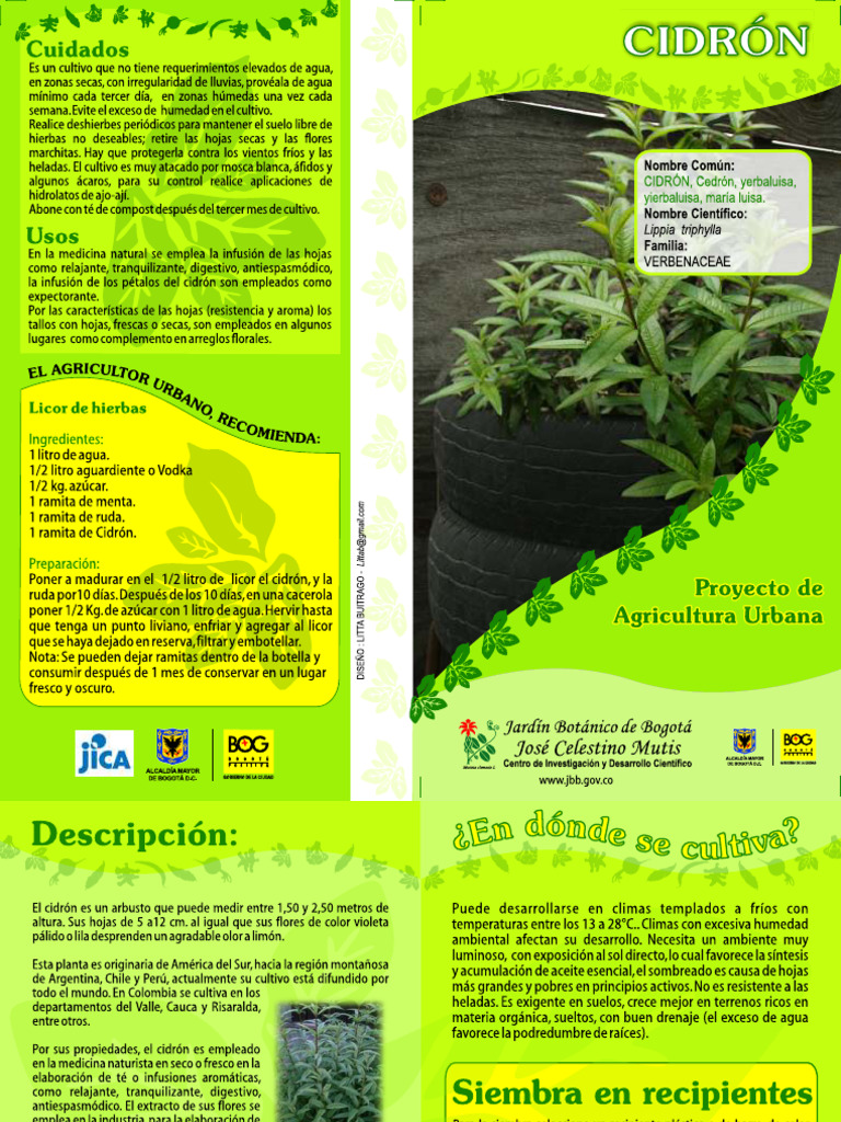 Cidrón | PDF