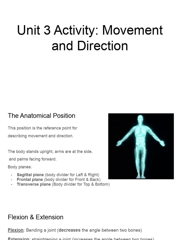 Unit 3 Activity_ Movement and Direction | PDF