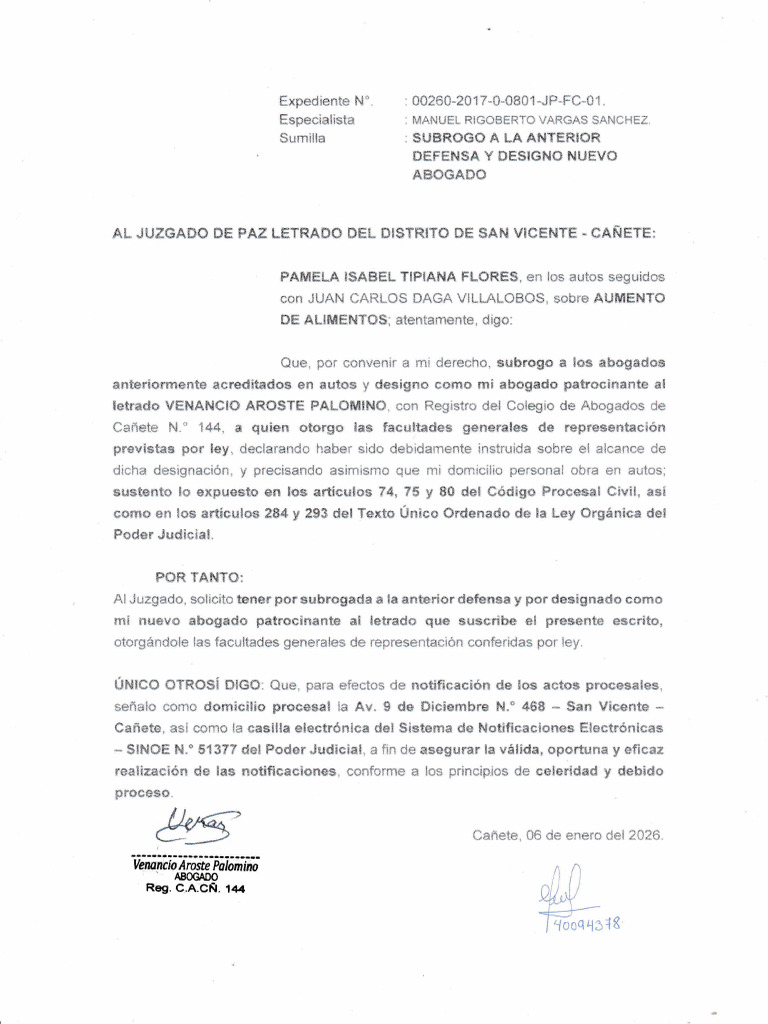 Subrogo A La Anterior Defensa y Designo Nuevo Abogado - Pamela Isabel ...