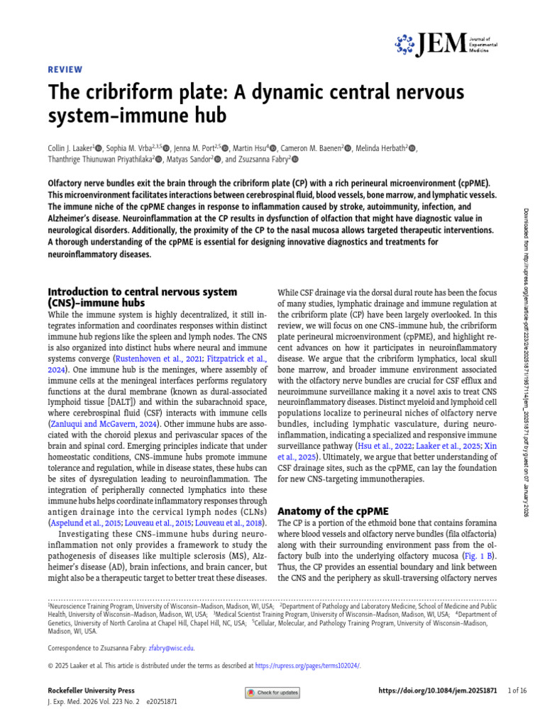 The cribriform plate: A dynamic central nervous system–immune hub | PDF ...