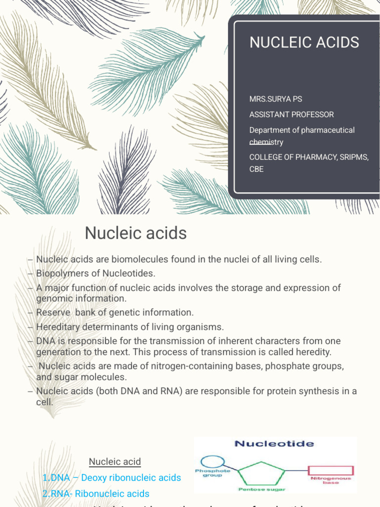 Nucleic acids (1) | PDF | Nucleotides | Rna