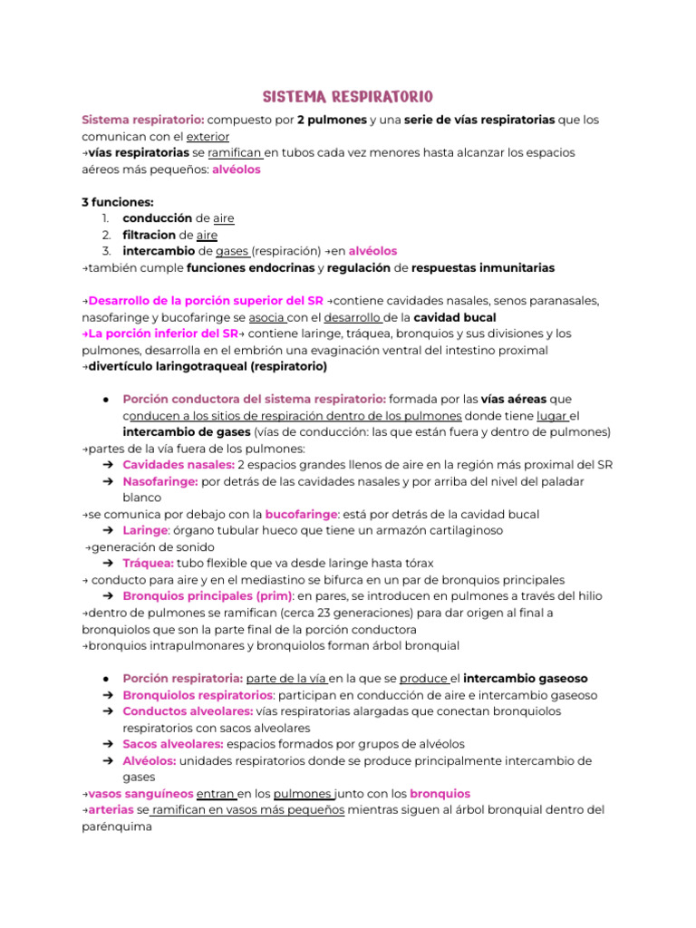 Estructura y Funciones del Sistema Respiratorio | PDF | Epitelio | Pulmón