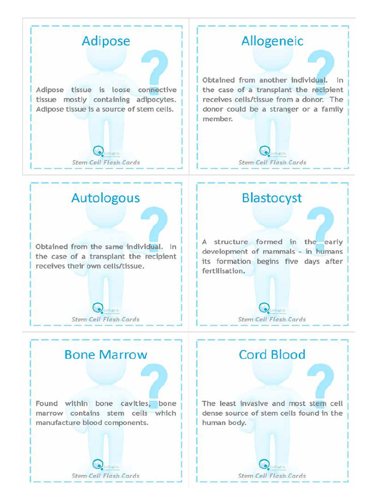 StemCells FlashCards | PDF