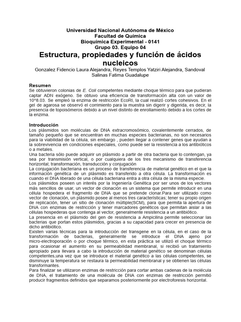 Estructura, Propiedades y Función de Ácidos Nucleicos | PDF | Plásmido ...
