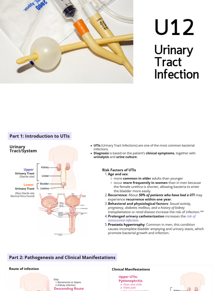 Clin Micro UTI Infection PDF | PDF