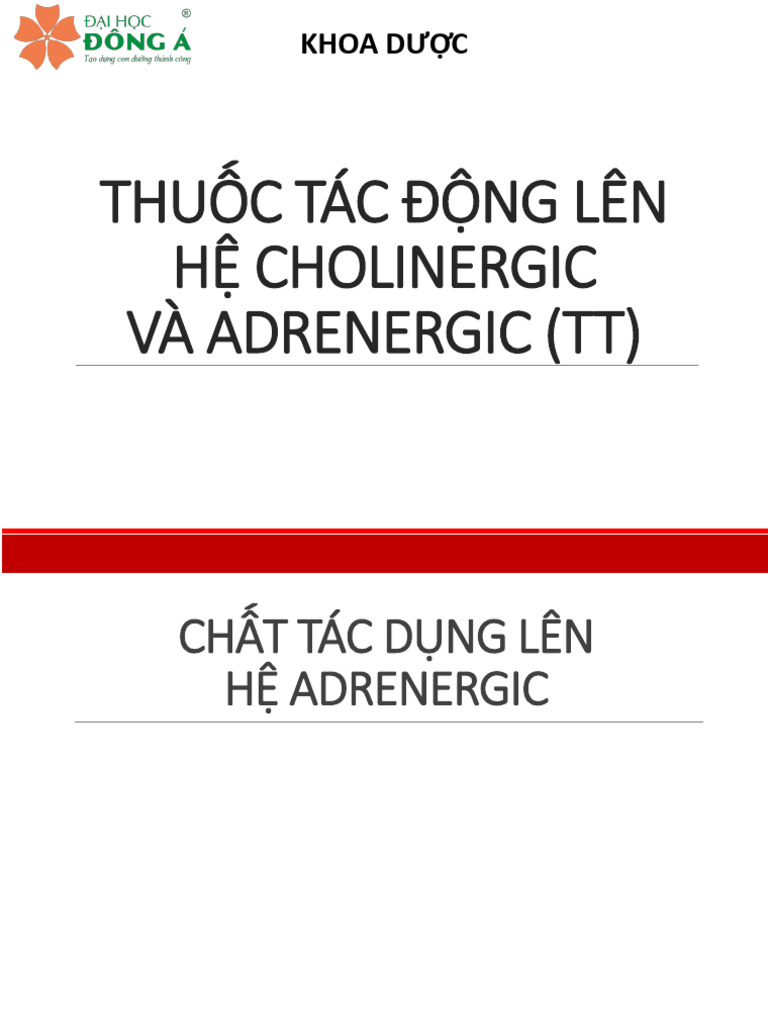 Thuoc Tac Dong Len He Cholinergic Va Adrenergic B2 | PDF