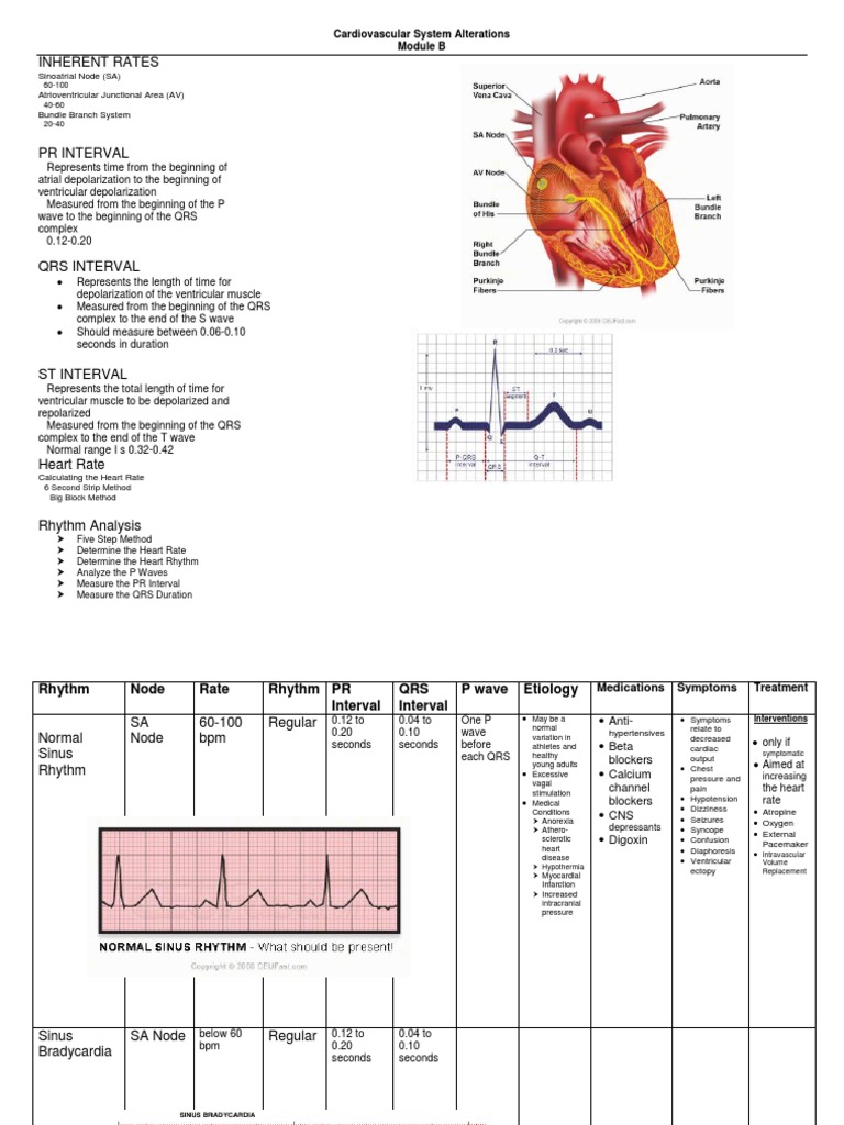 Cardiac I | PDF | Heart Rate | Cardiac Arrhythmia