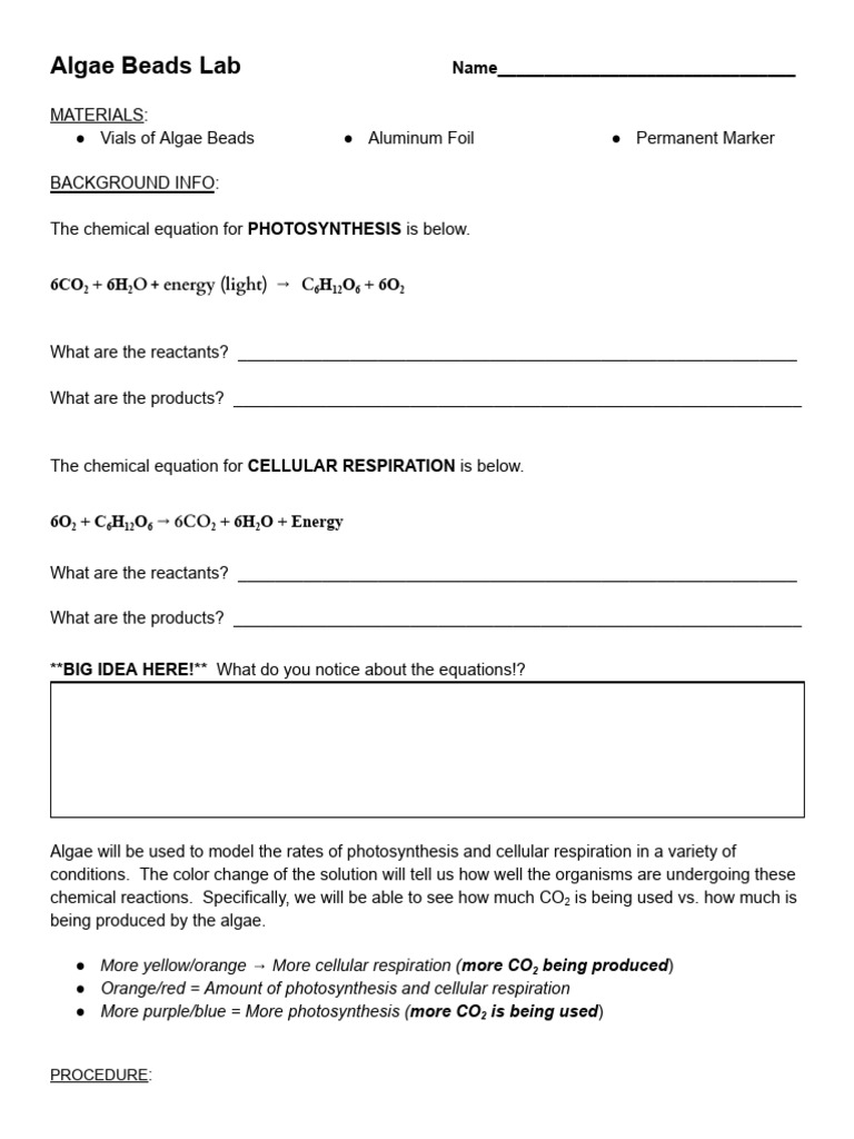 Algae Beads Lab Report 2024 | PDF | Photosynthesis | Carbon Dioxide
