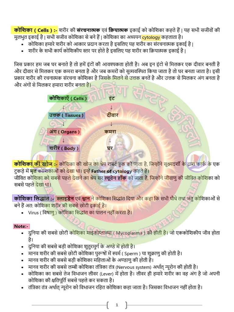 DOC-20260110-WA0009. | PDF