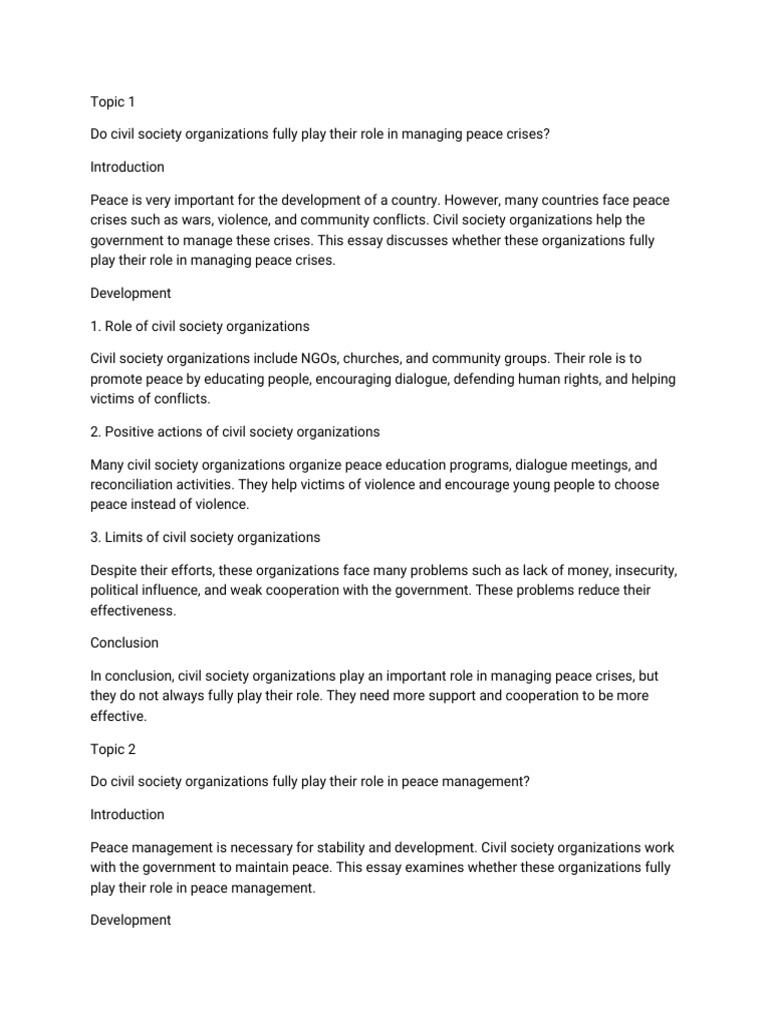 Civil Society's Role in Peace Management | PDF