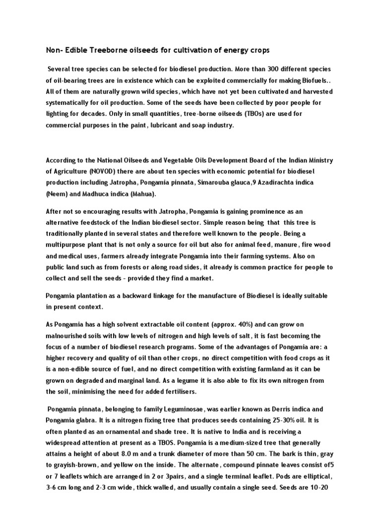 Pongamia: A Biodiesel Crop Solution | PDF | Biodiesel | Vegetable Oil