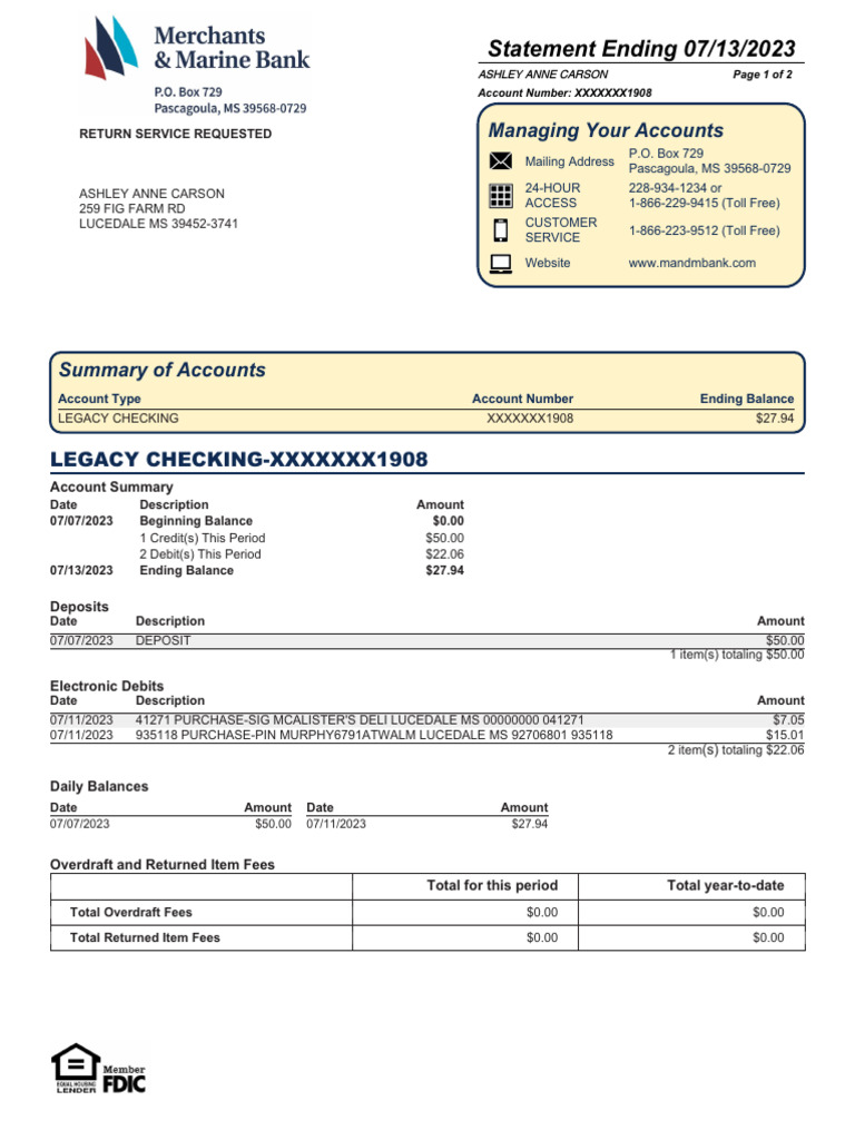 Checking Account Statement Summary | PDF | Transaction Account | Overdraft