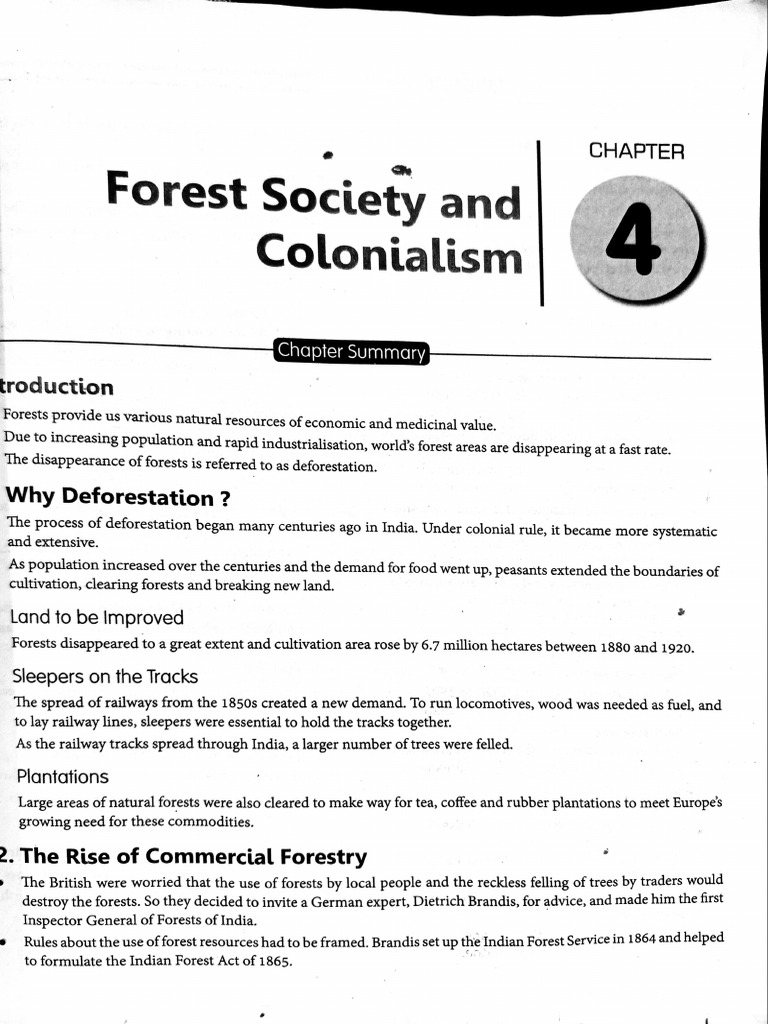 History | PDF
