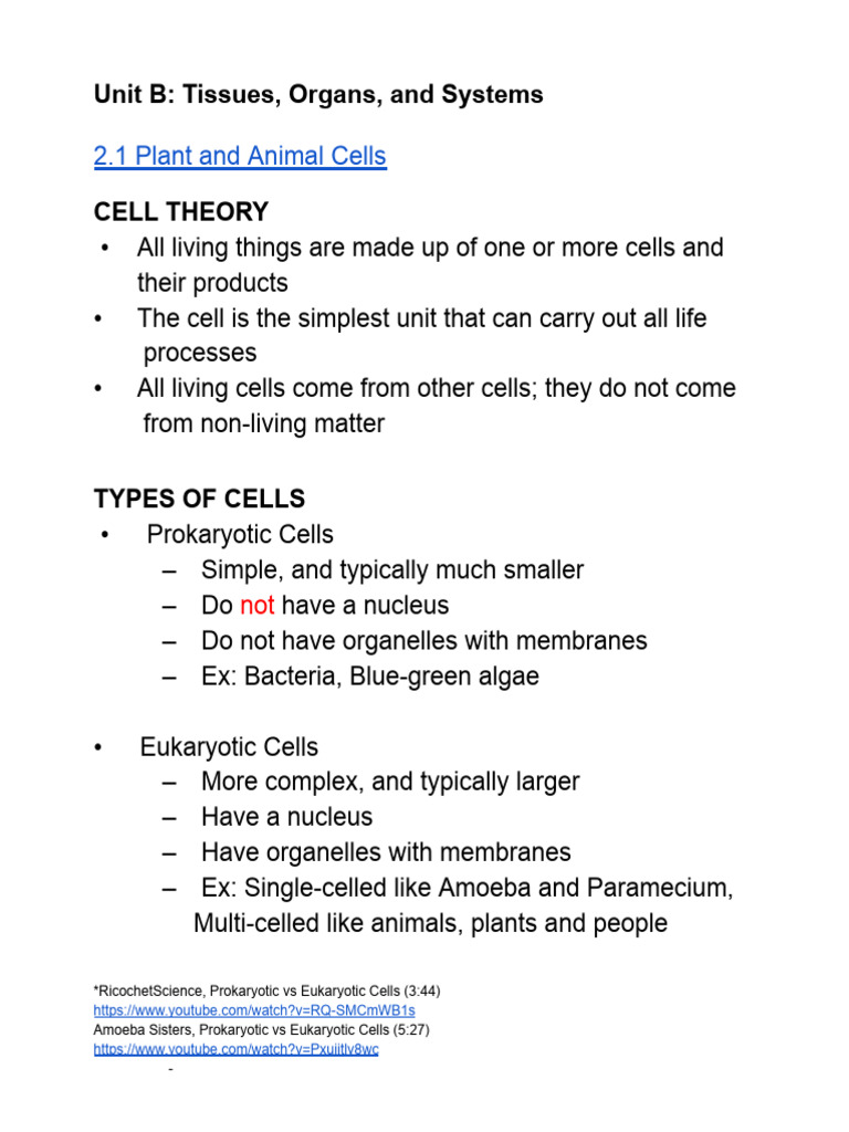 2 - Notes Ch2 Tissues, Organs, and Systems | PDF | Mitosis | Cell (Biology)