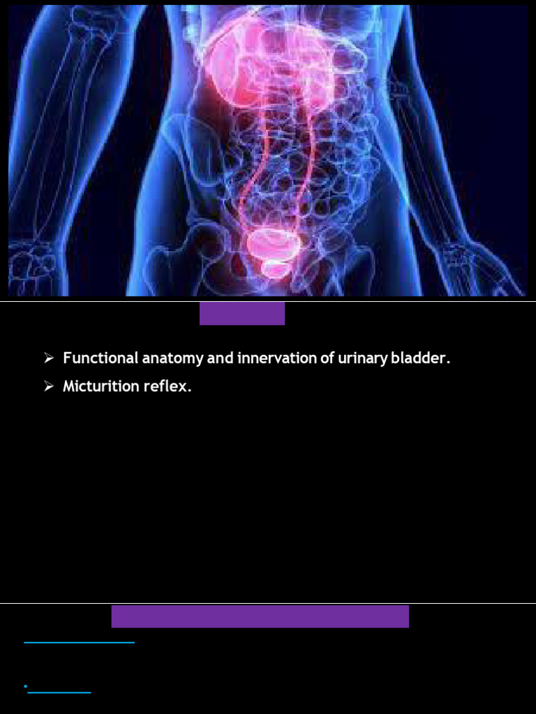 Physiology of Micturition | PDF | Urination | Genitourinary System