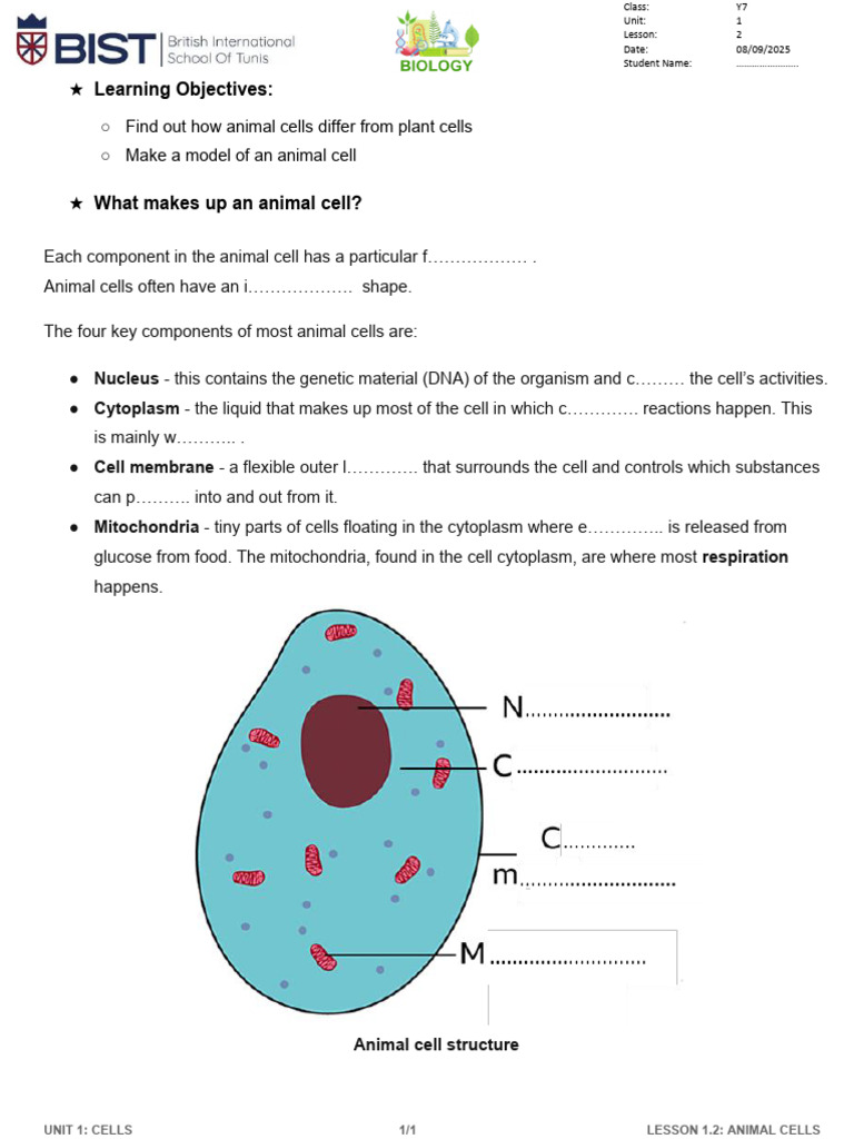 Y7-Lesson 1.2 Animal Cells | PDF