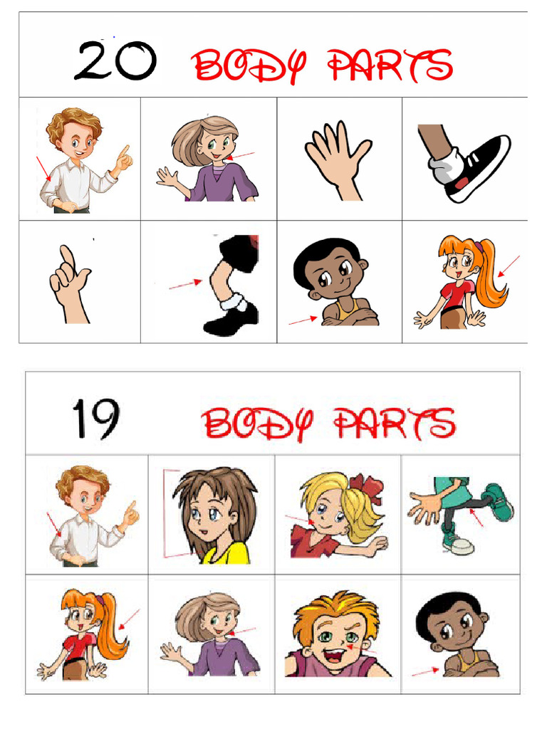 Bingo Body Parts | PDF