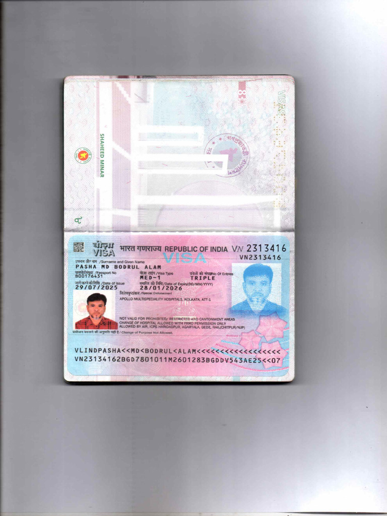 MD Bodrul Alam Pasha Visha | PDF